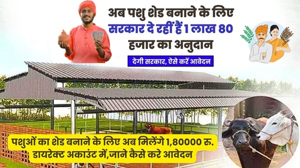 MANREGA Pashu Shed Scheme 2024 Archives - Viral